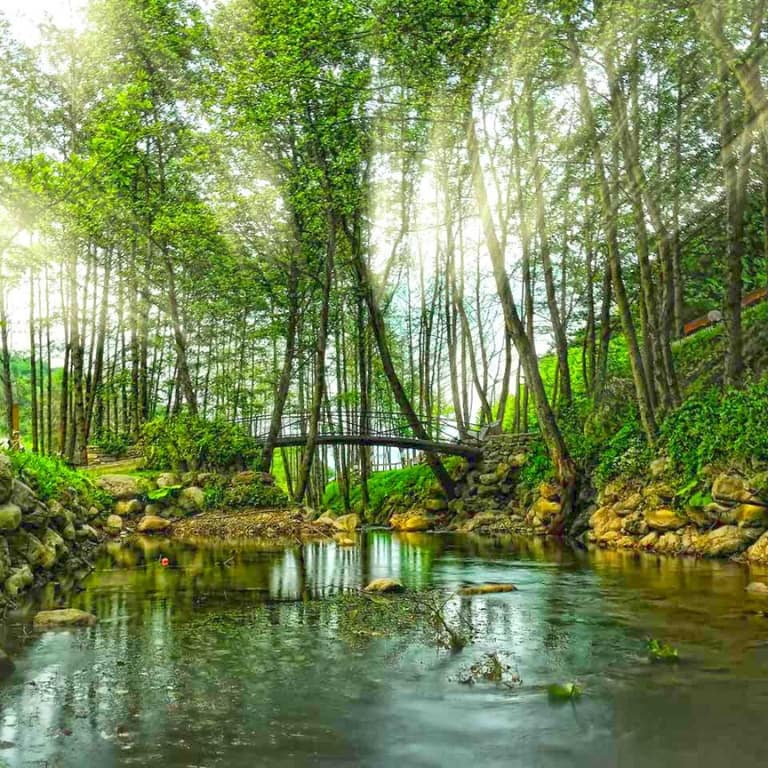 Daily Sapanca and Masukiye Tour: Full-Day Trip From Istanbul ...